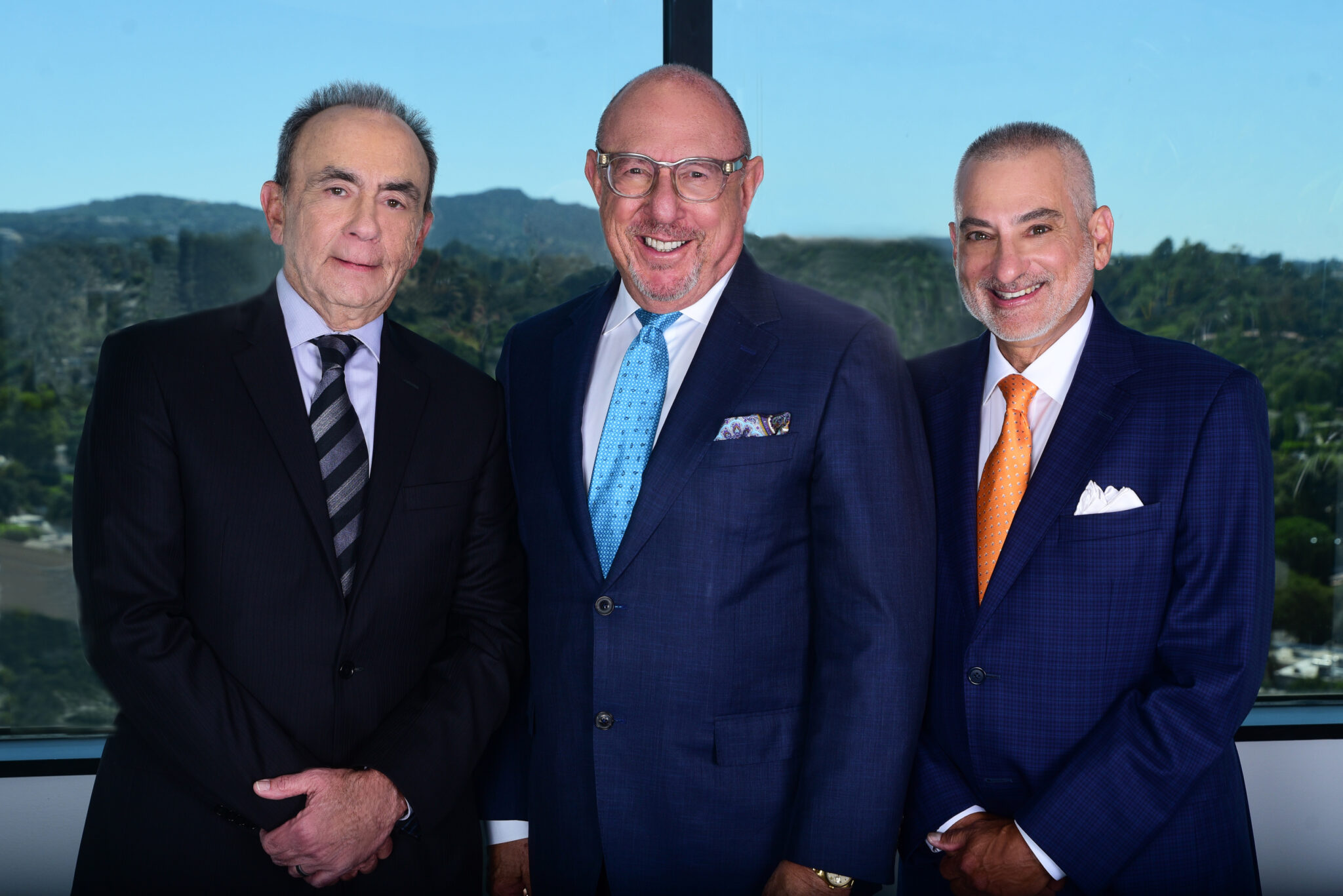 Comprehensive Family Law Services - Brot Gross Fishbein, LLP